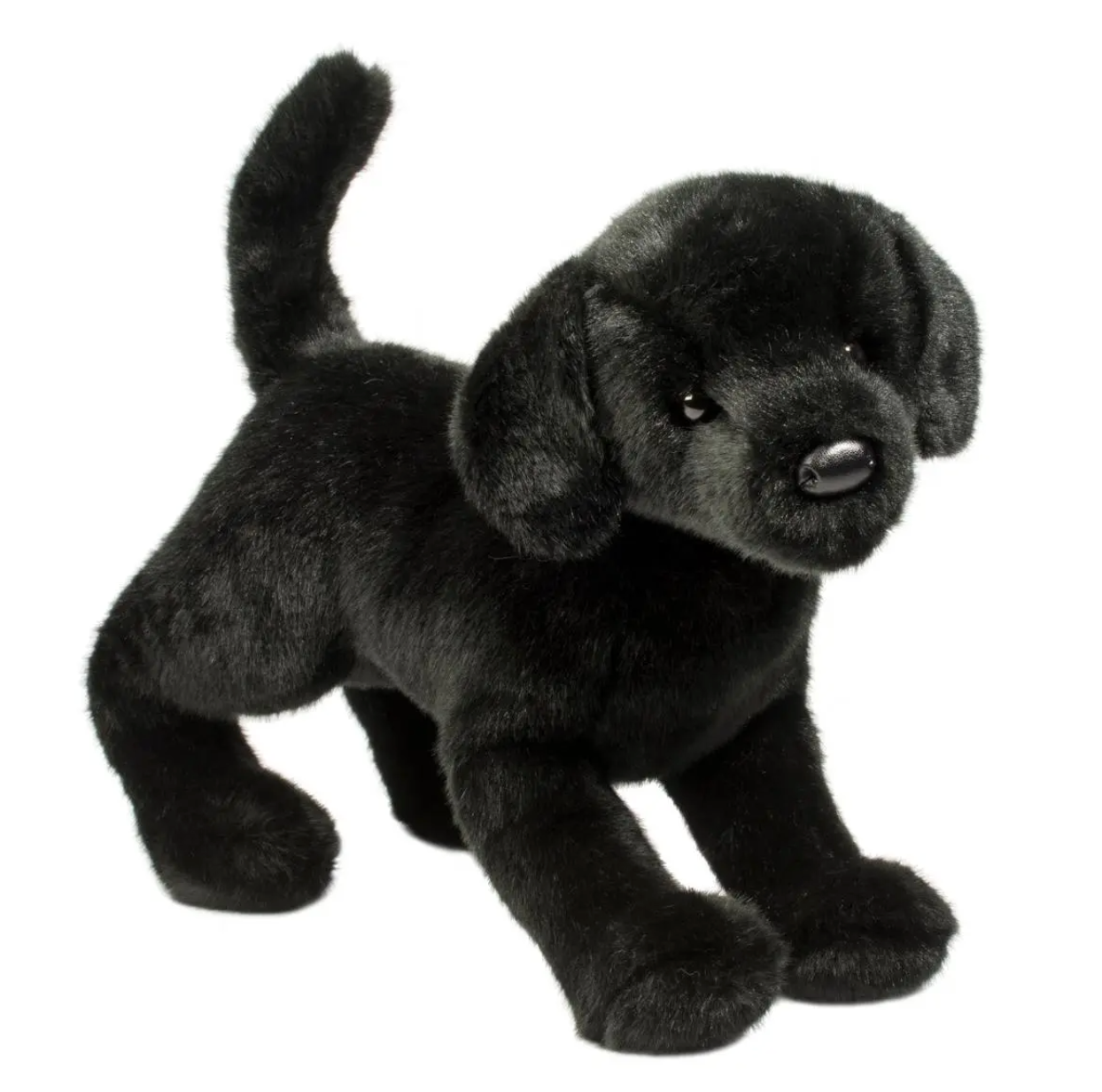 Chester Black Lab – Dogwood Darlings